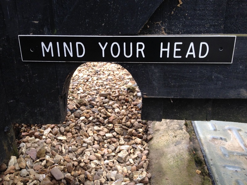 Hedgehog-friendly fencing - Hedgehog Street