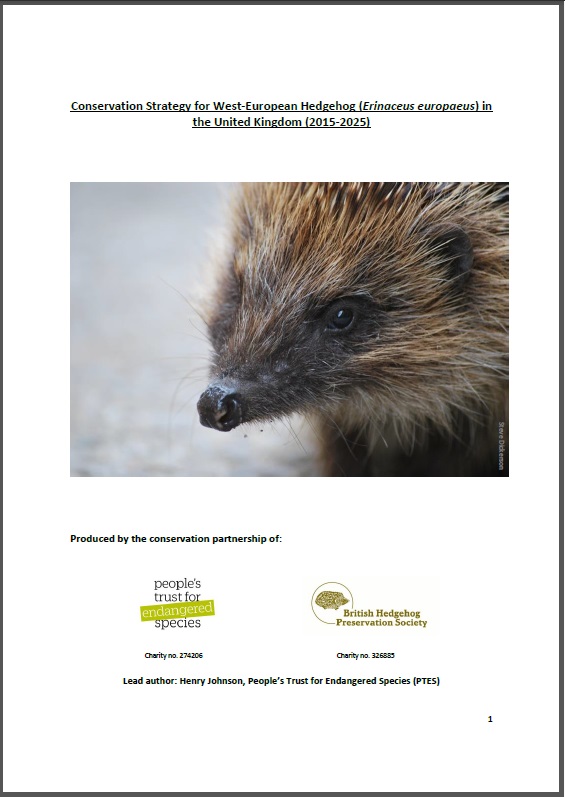State of Britain's Hedgehogs: population trends and conservation ...