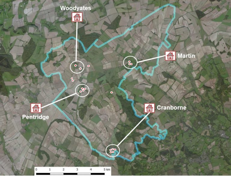 How Farmers Are Working Together to Help Hedgehogs - Hedgehog Street