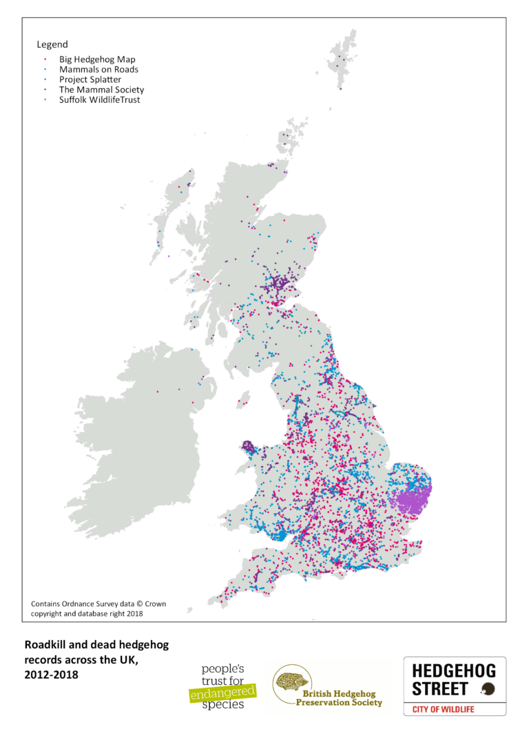 Roadkill-report-map-image - Hedgehog Street