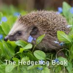 The Hedgehog Book, by Hugh Warwick - Hedgehog Street