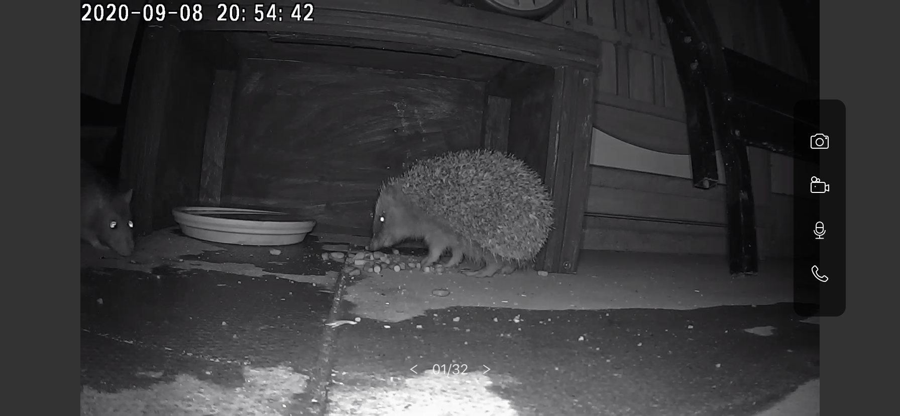 Sam mackay-16fdbb57 - Hedgehog Street