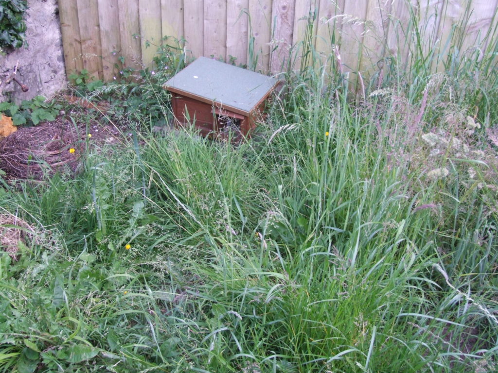 Hedgehog nesting box (Ocupied)-2e80b564 - Hedgehog Street