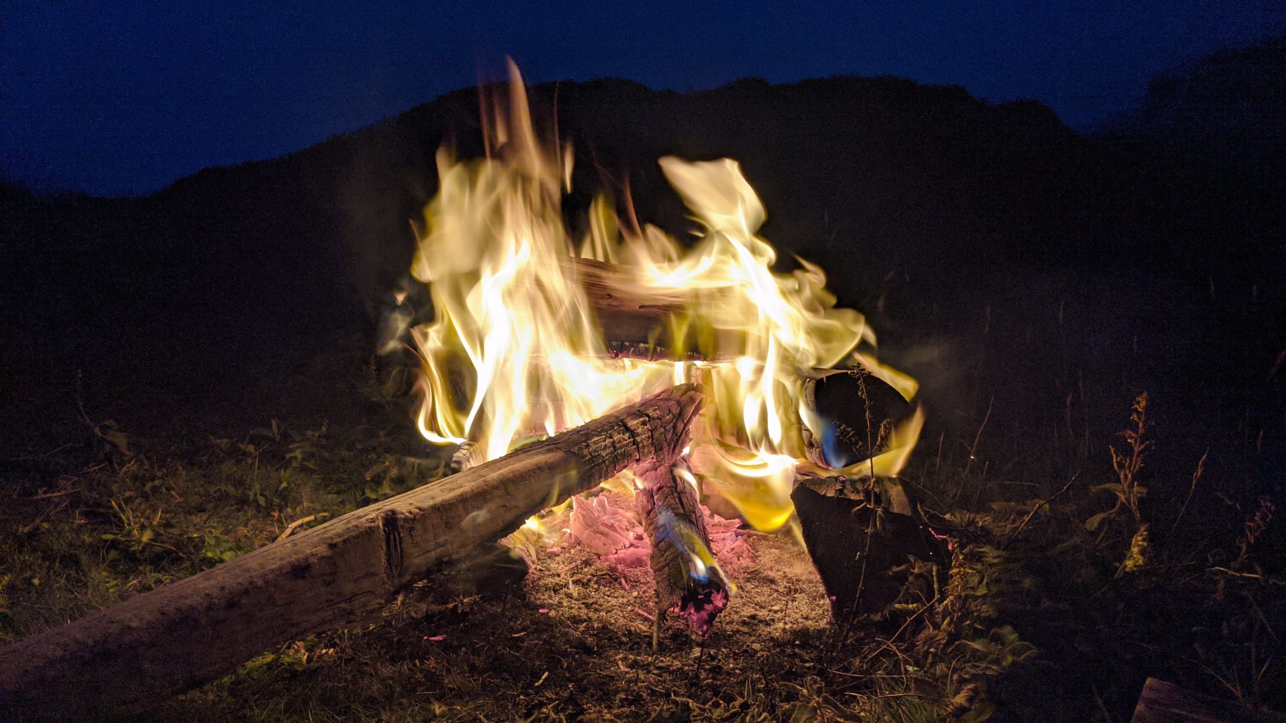 Bonfire night safety - Hedgehog Street