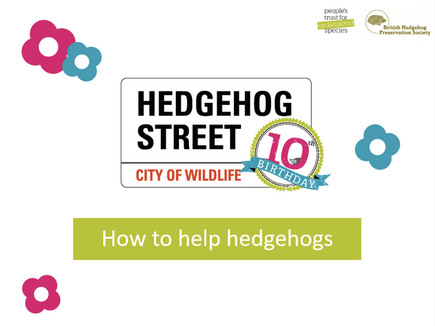 New resources for children - Hedgehog Street