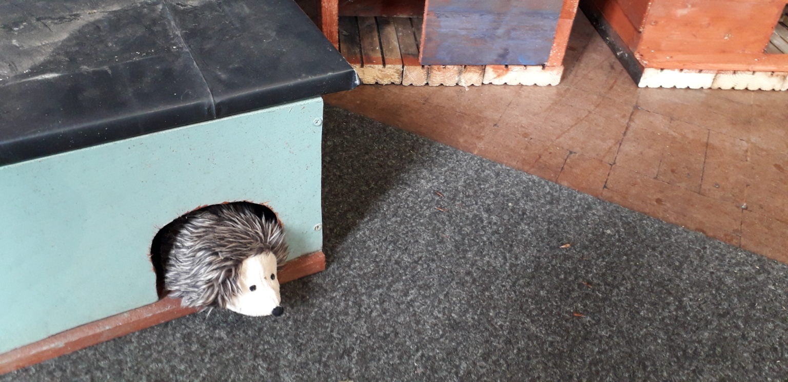 Anne-Marie-Chatwin4 - Hedgehog Street