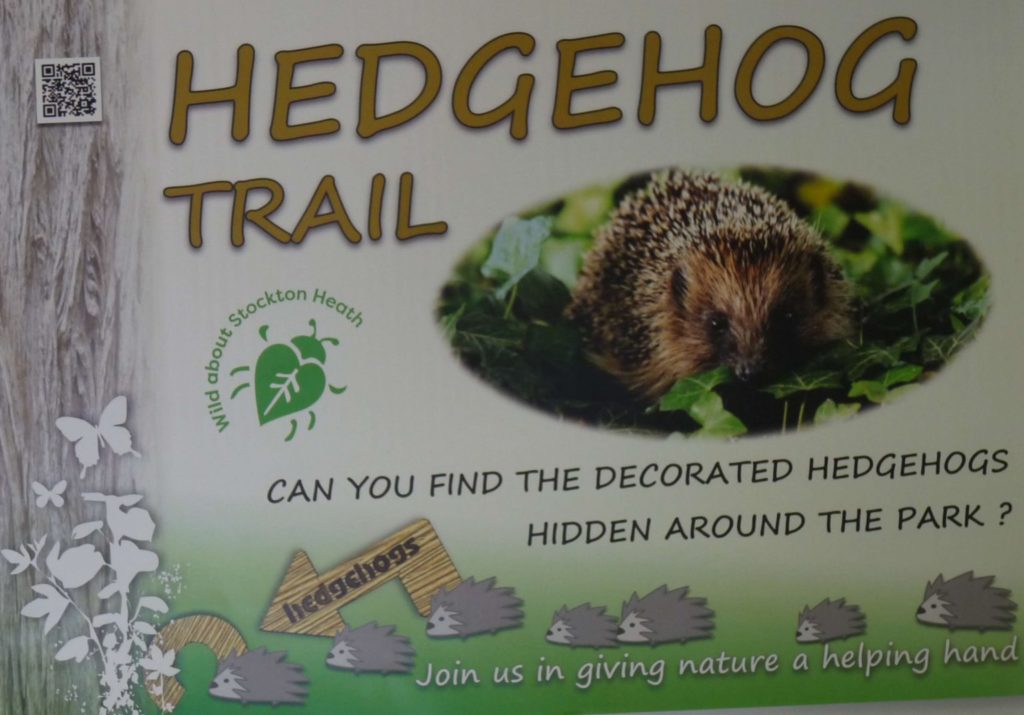 hogc-9d7b09e0 - Hedgehog Street