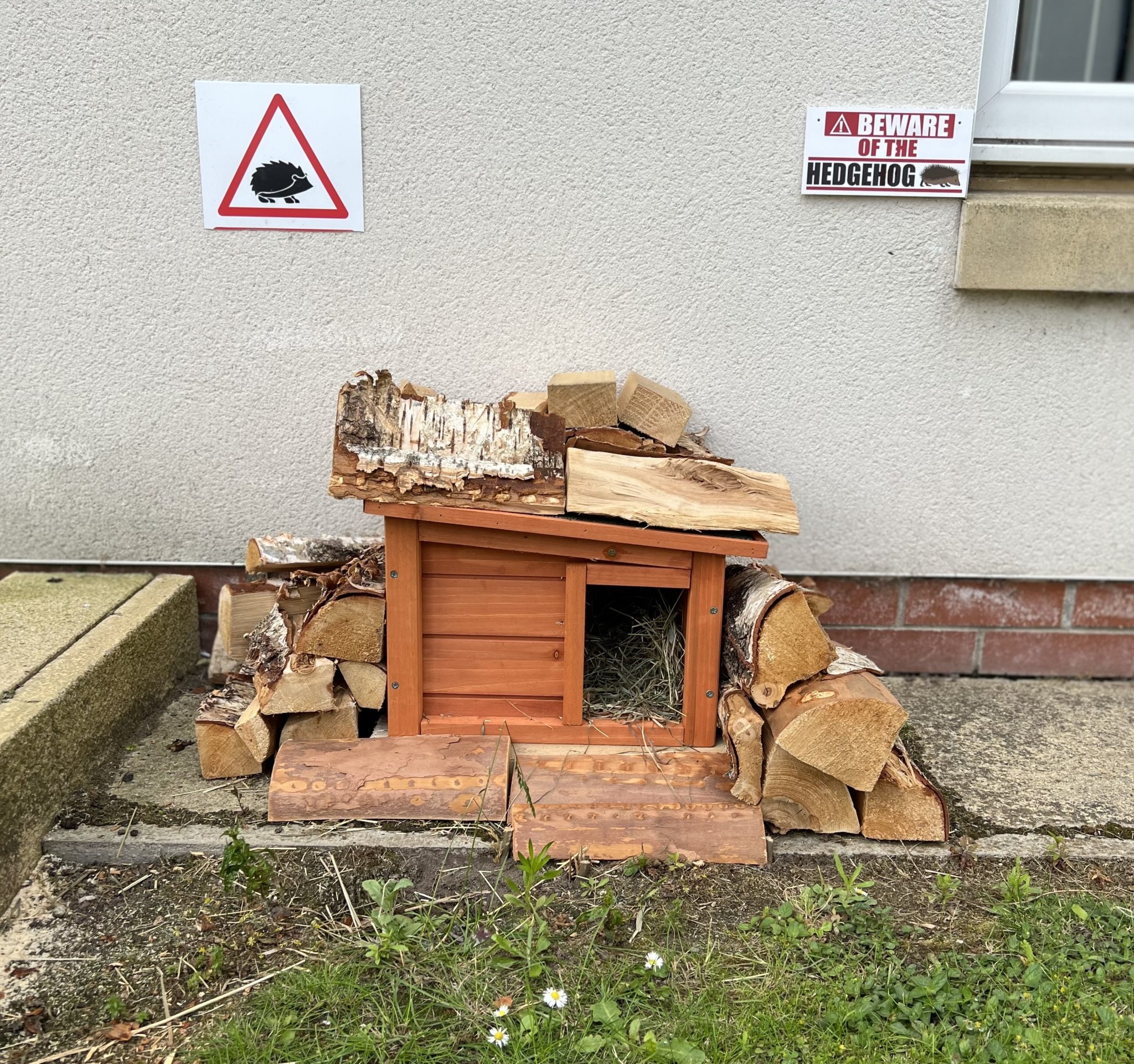 Research: Hedgehog Housing Census - Hedgehog Street