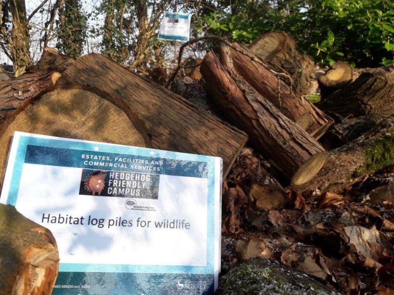 Silver-log-piles - Hedgehog Street