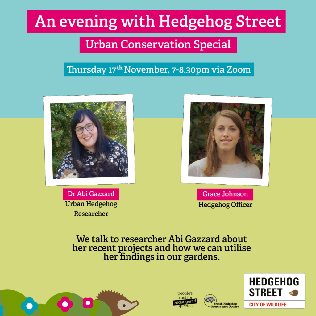 News - Hedgehog Street