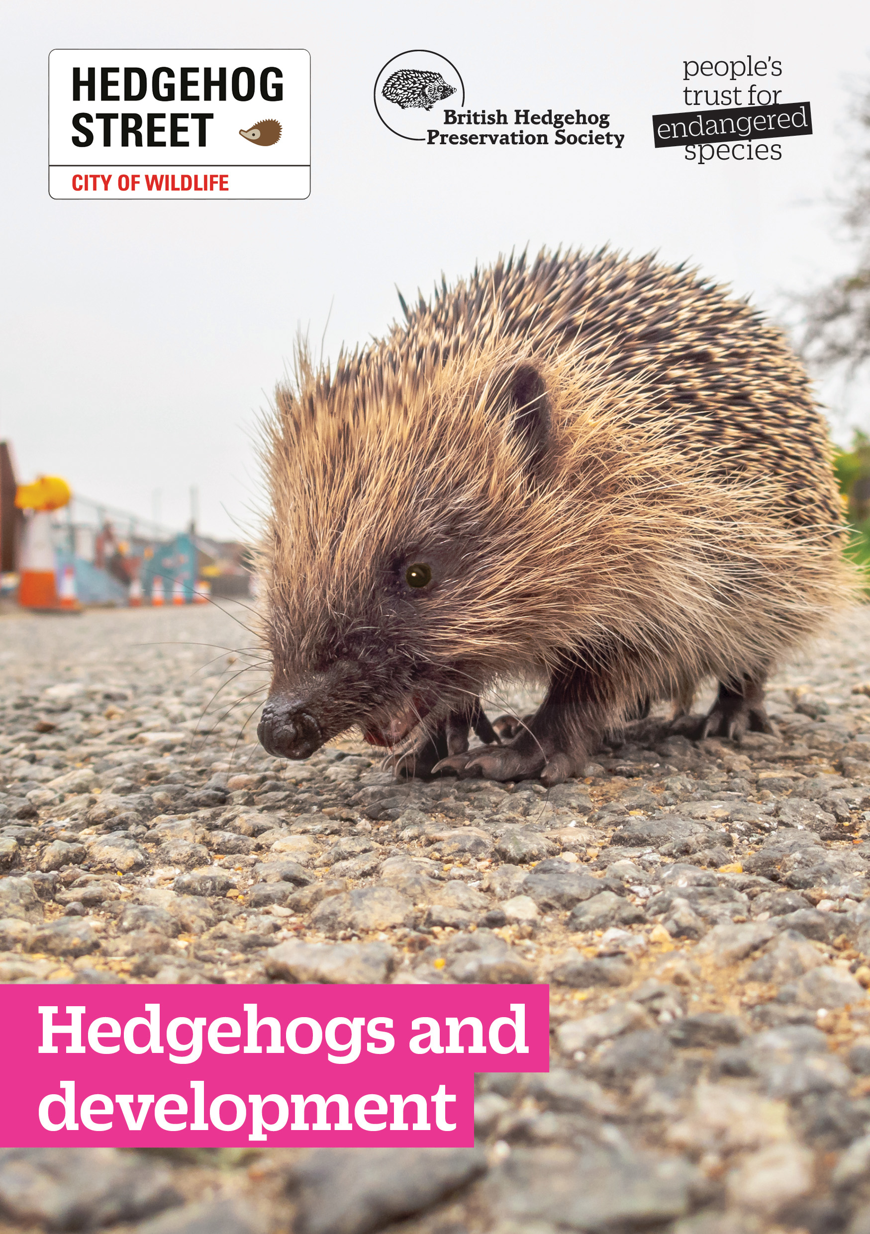 Hedgehogs and developers front cover updated - Hedgehog Street