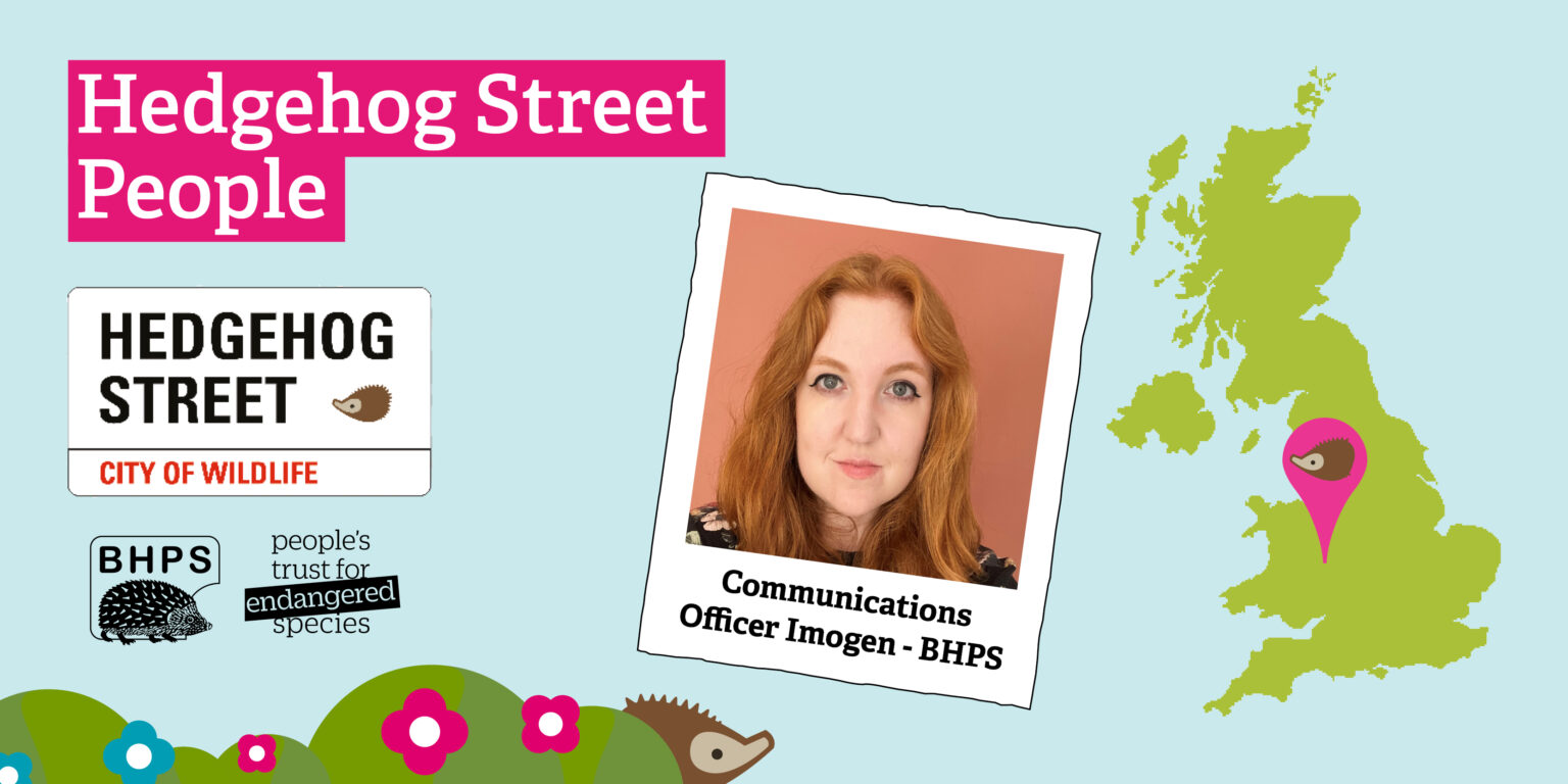 Hedgehog Street People: Imogen from BHPS - Hedgehog Street