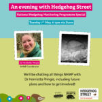 Home - Hedgehog Street