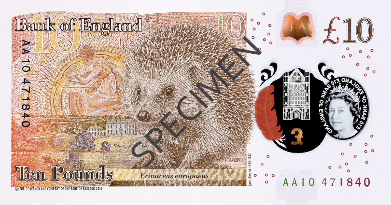 Vote for hedgehogs to feature on banknotes - Hedgehog Street