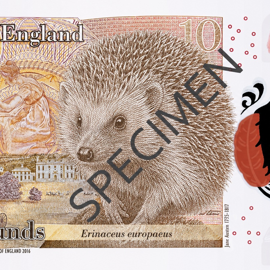 Vote for hedgehogs to feature on banknotes - Hedgehog Street